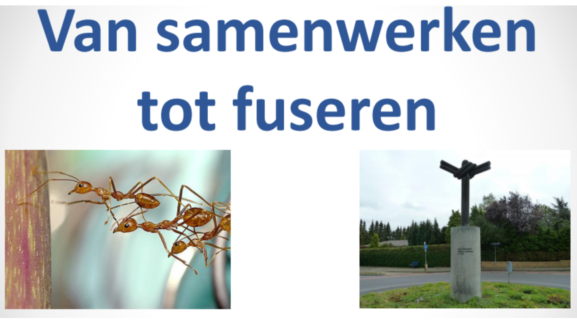 Samenwerken of fuseren - KNMO Kennisbank